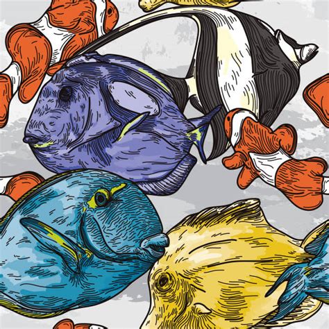 Poisson Chirurgien Jaune Vectoriels Et Illustrations Libres De Droits