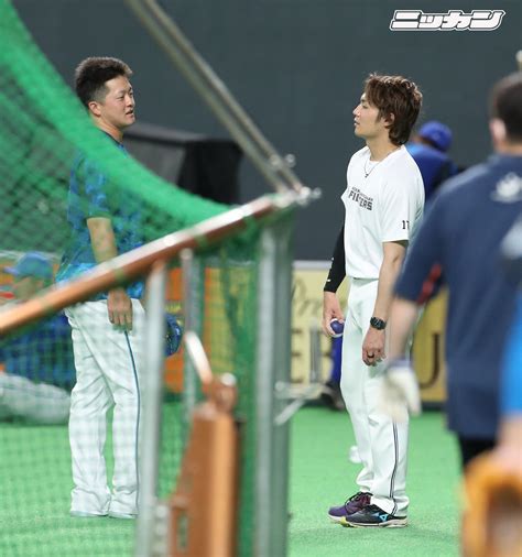 日刊スポーツ北海道 Hokkaidonikkan Twitter