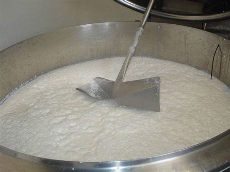 Suero lácteo se convertiría en ácido cítrico para la industria alimenticia CONtexto Ganadero