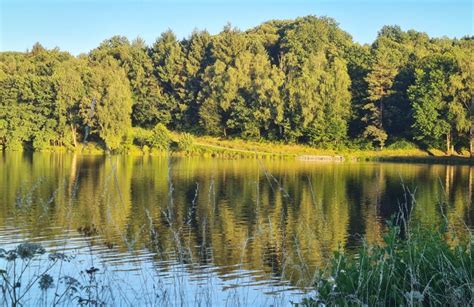 Forêt De Blanchefort Sites Naturels Parcs Naturels à Lagraulière