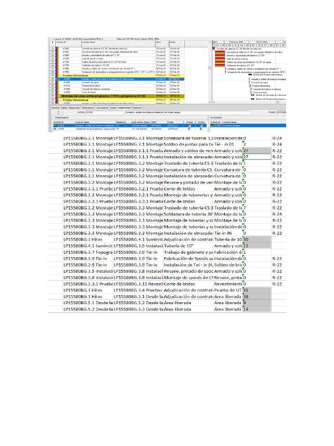 P6 Word Pdf