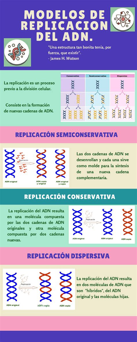 Modelos De Replicación Del Adn Docsity
