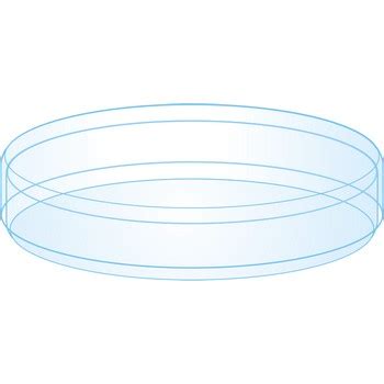 Petri Dish Chemistry Dictionary Glossary