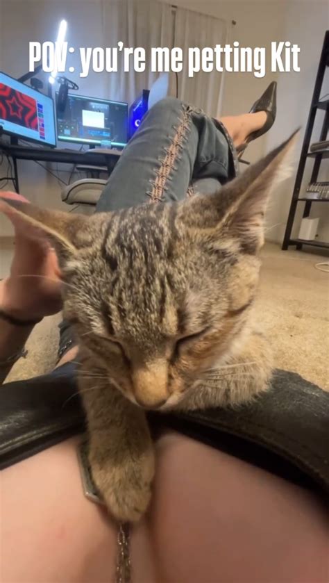 Lean Beef Pattys Feet