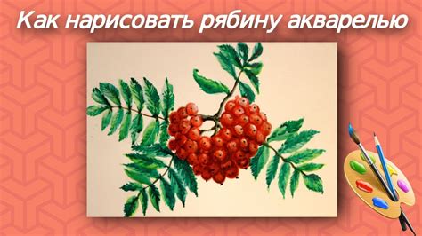 Как нарисовать поэтапно рябину Акварелью подробный видео урок Youtube