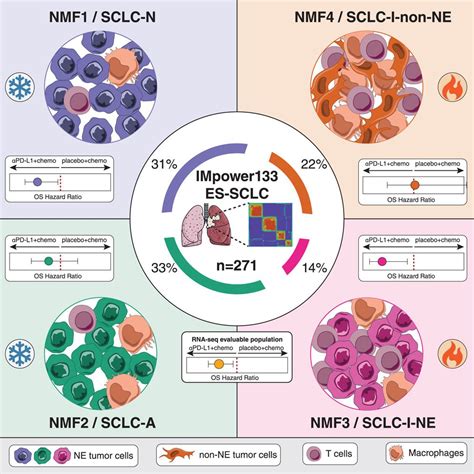 Marc Tjwa On Linkedin Interesting Paper In Cancer Cell Immune