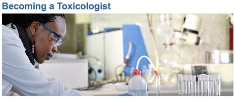 Mentee Recruitment Toxicology Msdt