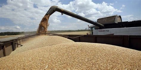 Продаю пшеницу 3 4 класс — Agro Kazakhstan