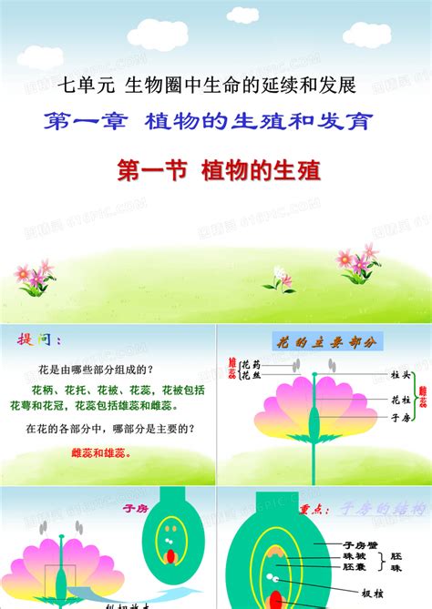 初中生物八年级下册《11第一节 植物的生殖》优质课件两套ppt模板免费下载编号vercwpj51图精灵