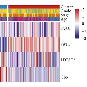 Determination Of Molecular Subtypes Utilizing Consistent Clustering Download Scientific Diagram