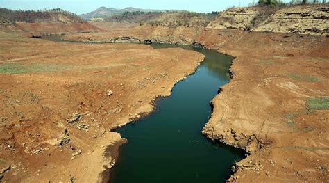 Maharashtra Stares At Agri Crisis Drought With Rain In August Mumbai News The Indian