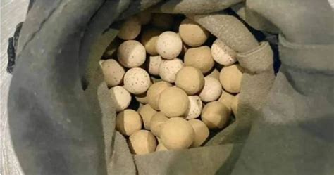 旅客攜「保健石」入境 輻射竟超標1050倍 國際 Ctwant