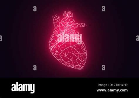 Heart Beating Human Stock Videos And Footage Hd And 4k Video Clips Alamy