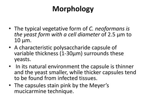 Cryptococcus Pptx
