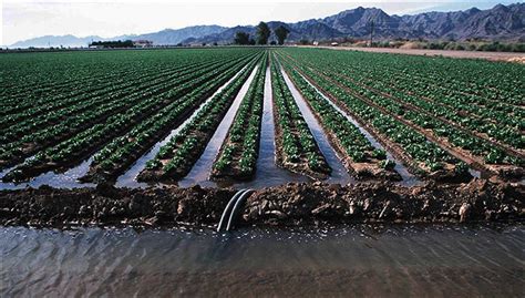 Irrigation Water For All