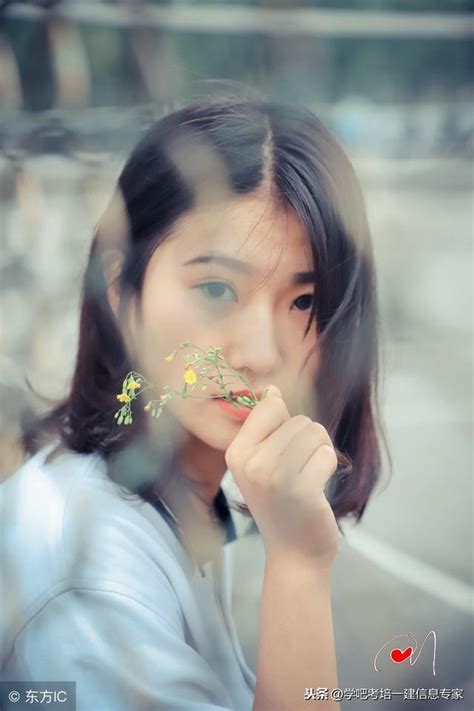 內蒙古2019年全國監理工程師考試時間是如何安排的？ 每日頭條