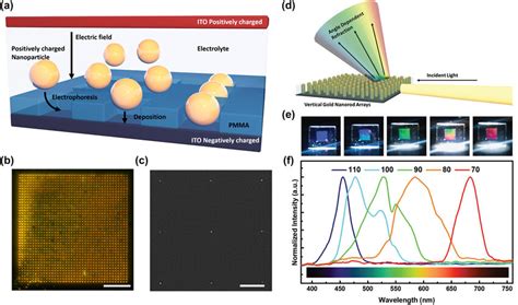 A Schematic Of The Electrophoretic Deposition Process Showing
