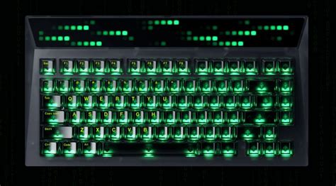 Angry Miao Cyberboard Keyboard Terminal Tv Exposed Daily News Magazine