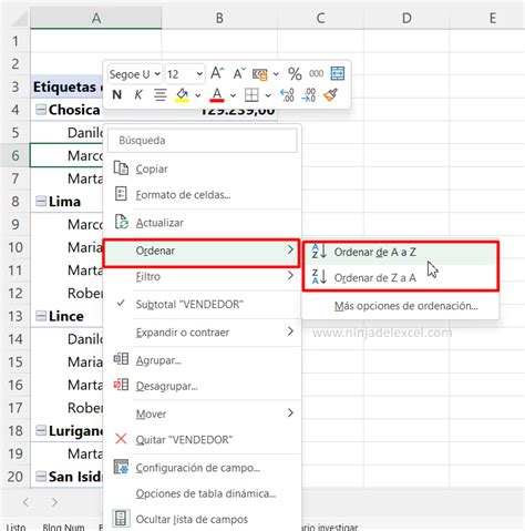 Ordenar Datos en una Tabla Dinámica - Ninja del Excel