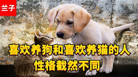喜欢养狗和喜欢养猫的人的性格截然不同 Youtube