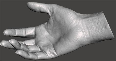 stl file scan3d hand woman 32years ・3d printing design to download・cults