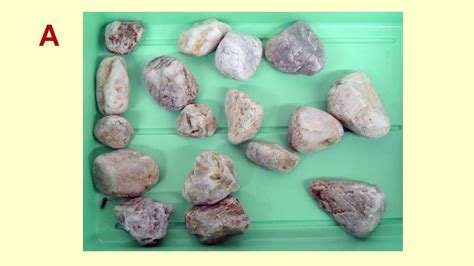 Long Intermediate And Short Pebble Diameters Are Measured