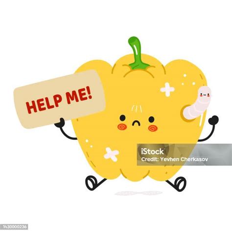 귀여운 슬픈 아픈 고추는 도움 캐릭터를 요청합니다 벡터 손으로 그린 만화 카와이 캐릭터 일러스트 레이 션 아이콘 흰색 배경에 고립되어 있습니다 건강에 해로운 노란 후추