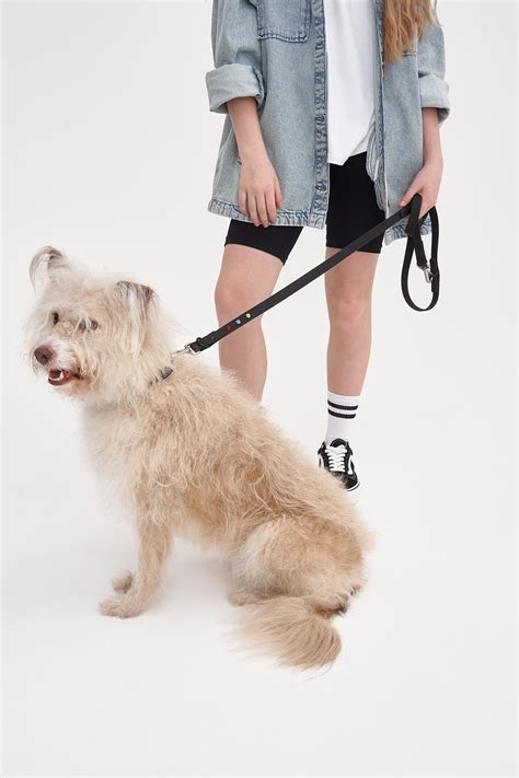 Стильный поводок для собаки из биотана с декоративными шипами