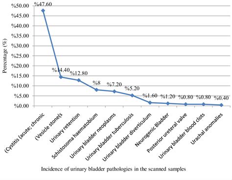 Incidence Of Urinary Bladder Pathologies In The Scanned Samples