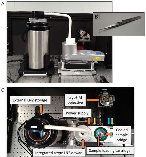 Cryo Structured Illumination Microscopic Data Collection From Cryogenically Preserved Cells