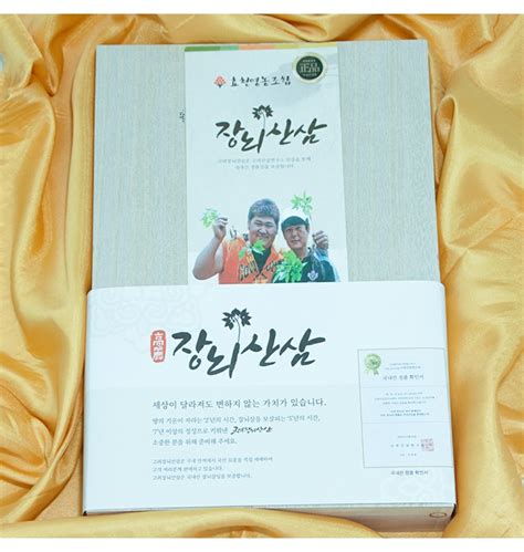 효천영농조합 장뇌삼 7년근10뿌리 부모님선물 산양삼 티몬