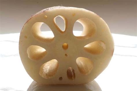 野菜の断面のブログ記事一覧 5ページ目 なんでも断面写真館 食べ物のアイデア 野菜 料理イラスト