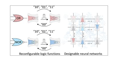 Single Pore Nanofluidic Logic Memristor With Reconfigurable Synaptic Functions And Designable