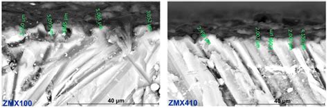 Effect Of Fluoride Coatings On The Corrosion Behavior Of Mgzncamn
