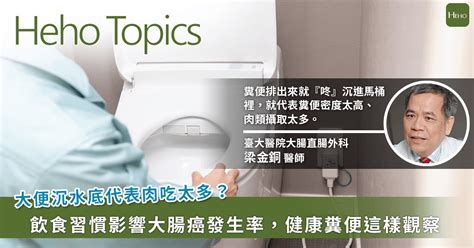 糞便沉到底恐是「肉類」吃太多！大腸癌名醫教看健康的排便 Heho Cancer