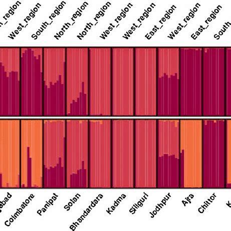 Genetic Structure Of P Zeylanica Populations Inferred From Bayesian