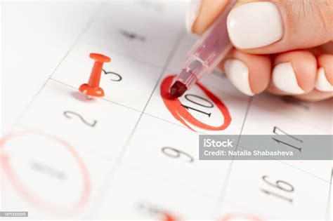 2022년 달력에 빨간 펜을 사용하여 직원 여성의 손을 닫고 2022 년 일정에 따라 약속 회의를 하거나 집 안 개념에서 일하기