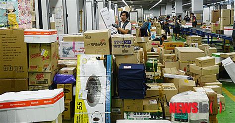 택배 숲 속에서 분류작업