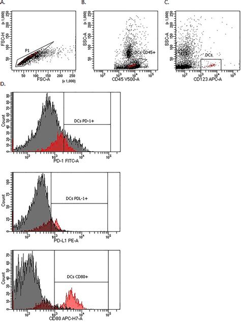Representative Dendritic Cells Dcs Gating Strategy With Expression Of