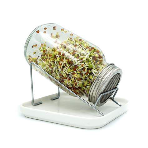 Sprouting Jar Kit Seed Sprouter Kit Including One Jar Stand Lid And