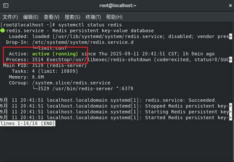 Idea连接redis数据库时出现failed To Connect To Any Host Resolved For Dns Name 技术栈