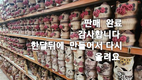 다육 다육화분 분갈이흙 화분 한달 만에나온 신상 화분 출시 이벤트 수요일 까지요 010 9395 1775 Youtube
