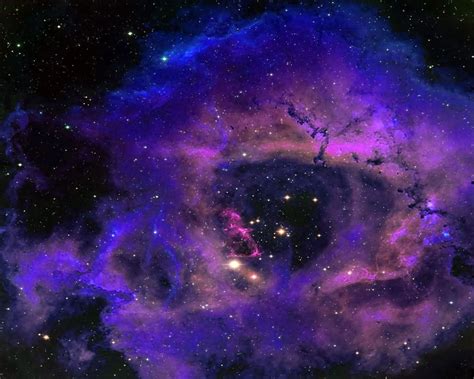 The Cute Octopus Go Galactic