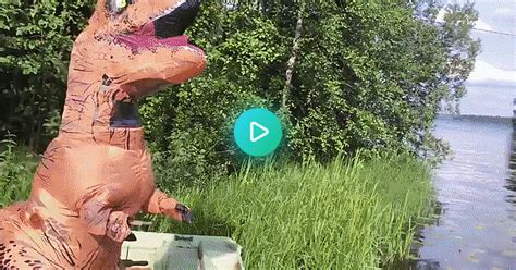 Dino Nuggies Album On Imgur