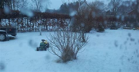 Spring In Denmark Imgur