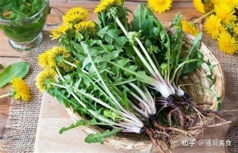小满节气吃什么多吃6种食物清热解暑又健康