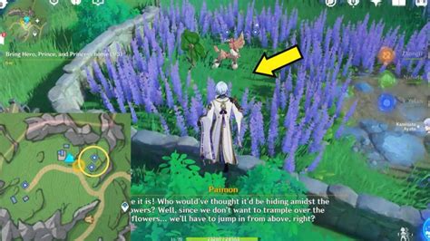 Genshin Impact Upon A Flowery Field Of Grass World Quest Guide Pro