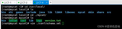 mysql读写分离之mycat中间件（项目例子 一主一丛一代理） 数据库主从 中间件 csdn博客