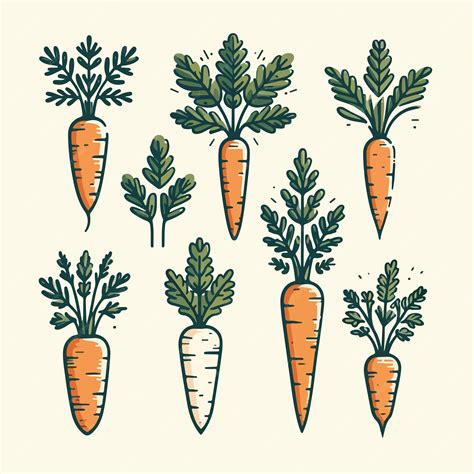 Premium Vector Vector Set Of Carrots With Flat Design Style