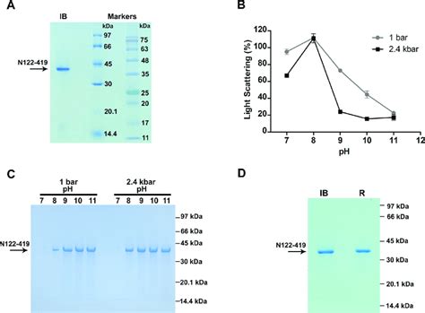Compression At 24 Kbar And Alkaline Ph Promote Solubilization Of